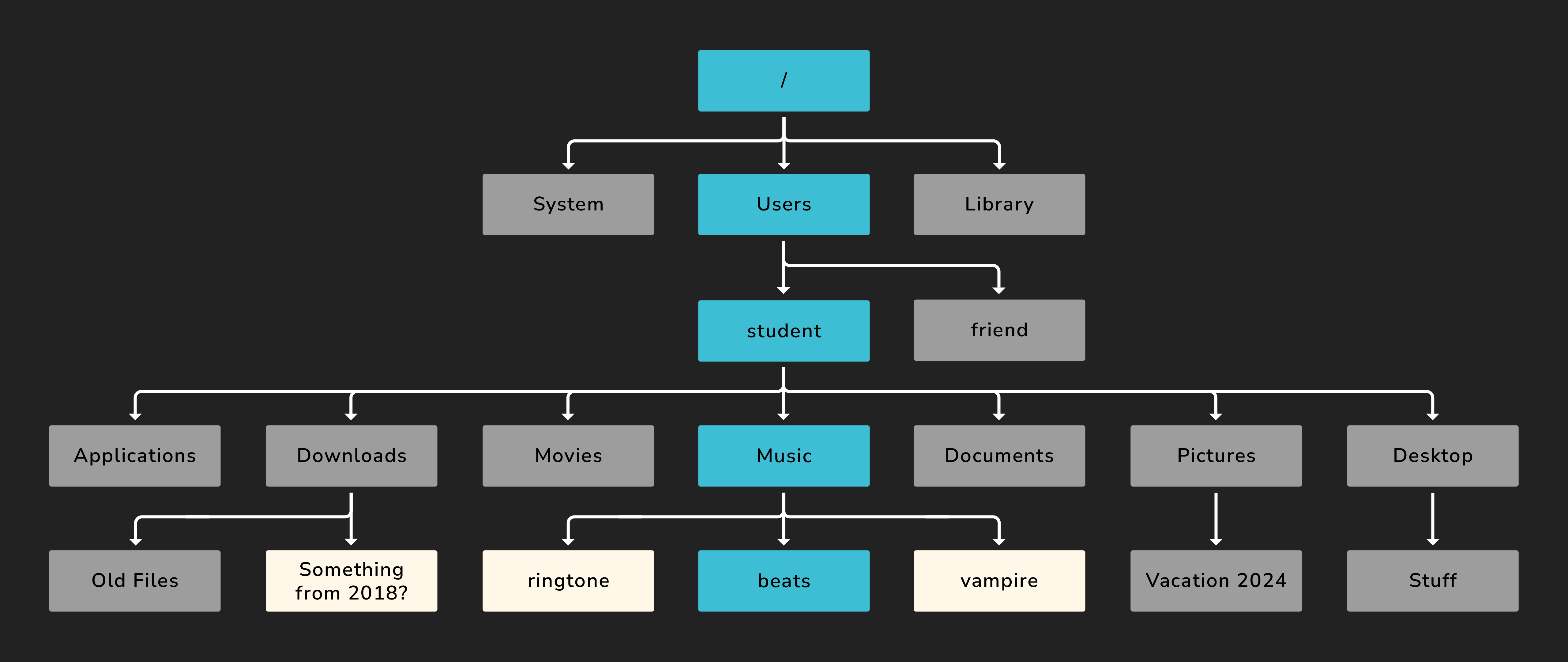 Intro to the Terminal and Bash Scripting